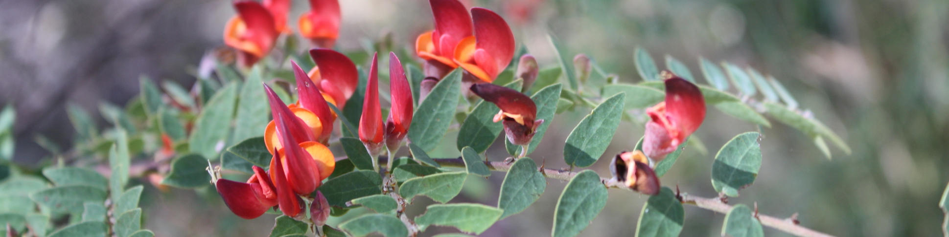 METServe | Mining and Energy Technical Services Pty Ltd